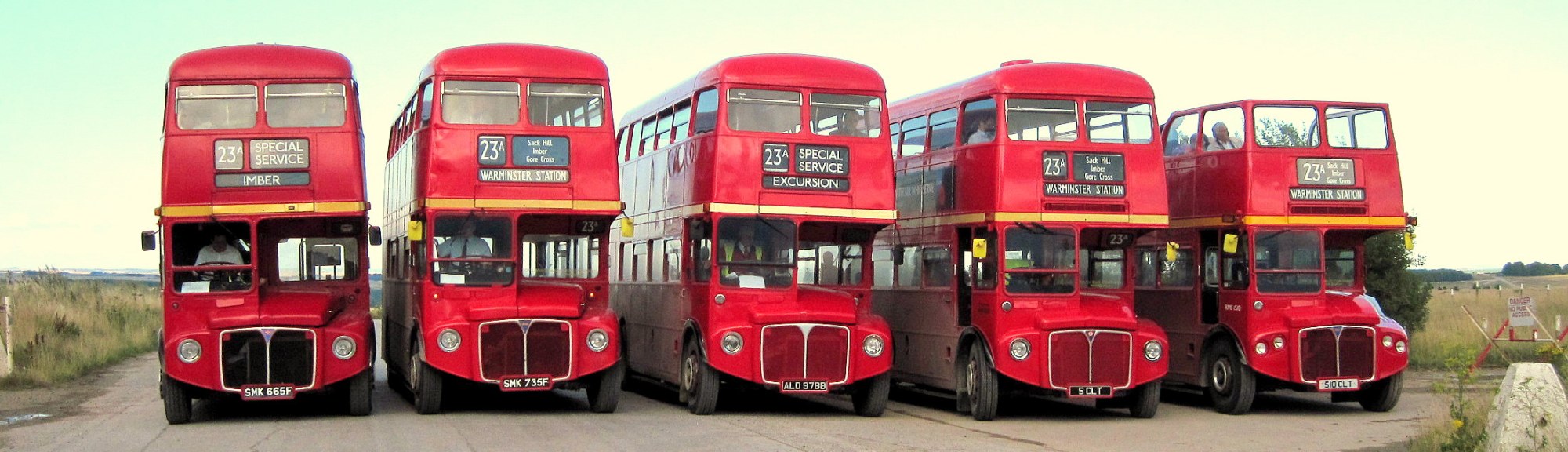 About the Imberbuses | Imberbus